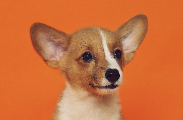 GitHub - webstoryboy/web2022